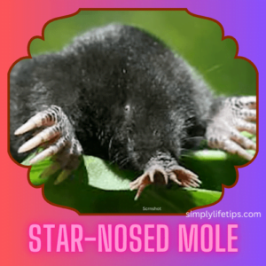 A Guide To Scary And Spooky Animals For Kids Learning