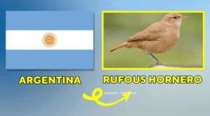 National Flags And National Animals Of 68 Countries | Simply Life Tips