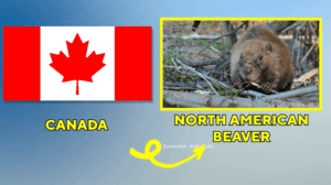 National Flags And National Animals Of 68 Countries | Simply Life Tips