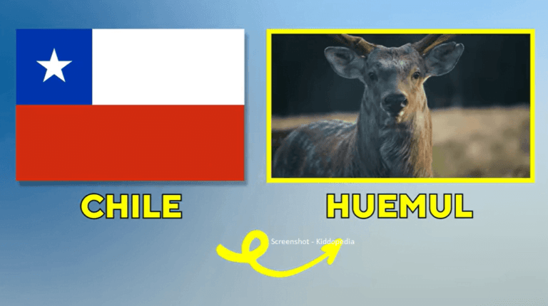 National Flags And National Animals Of 68 Countries | Simply Life Tips