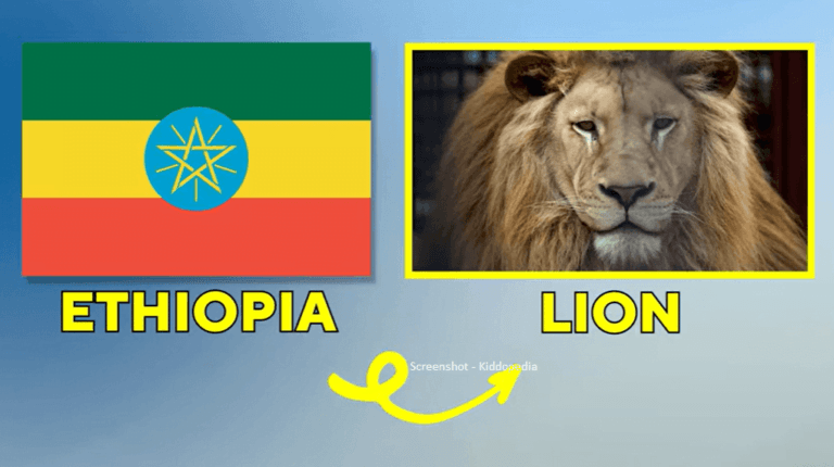 National Flags And National Animals Of 68 Countries | Simply Life Tips