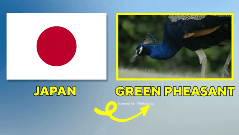 National Flags And National Animals Of 68 Countries | Simply Life Tips