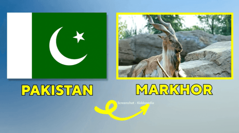 National Flags And National Animals Of 68 Countries | Simply Life Tips
