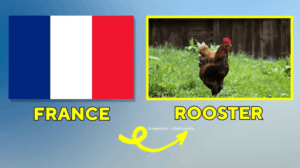 National Flags And National Animals Of 68 Countries | Simply Life Tips