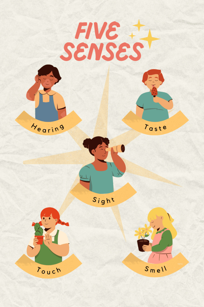 5 Human Senses: Learn The Importance And Functions - Simply Life Tips